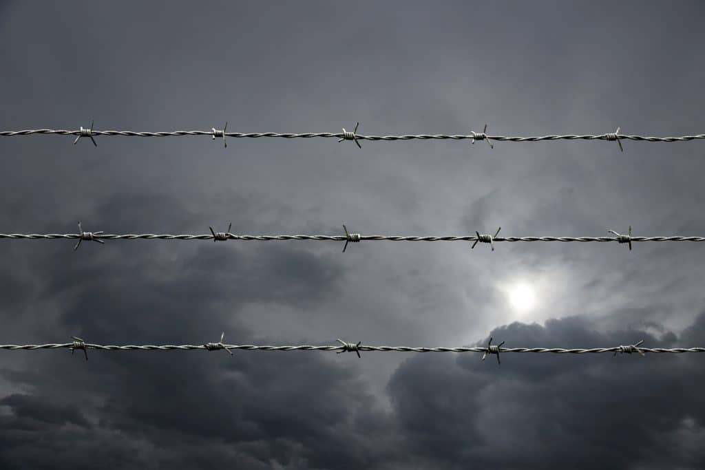 Barbed Wire - JISS
